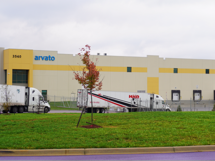 Insights – Arvato
